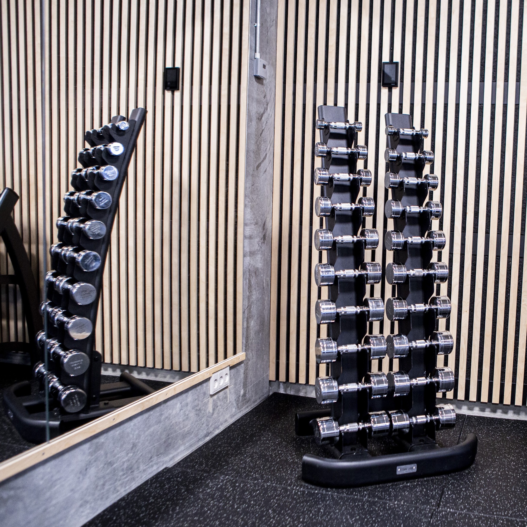 Chrome Dumbbell Rack | TITAN LIFE PRO